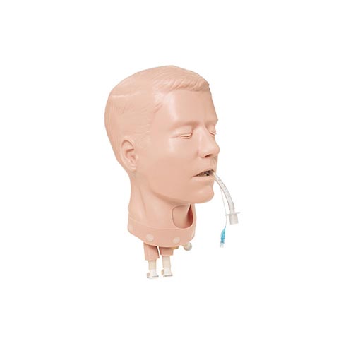 Simulaids 101-306 STAT Simulator Adult Deluxe Airway Management Head