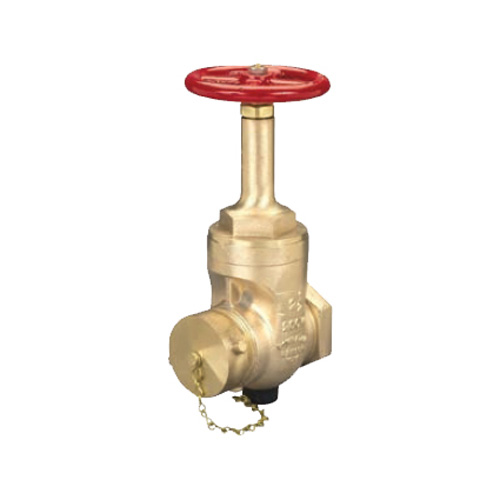 Dixon RWDGV250F Valve Rising Stem Wedge Disc Gate Valves 1 PK